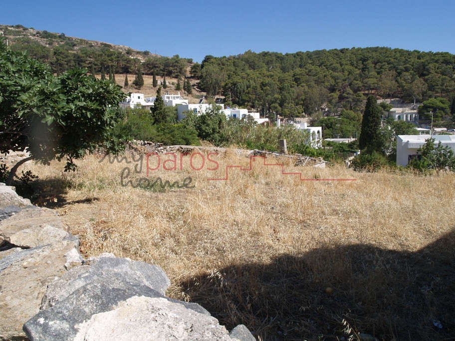Β220 ΟΙΚΟΠΕΔΟ ΕΝΤΟΣ ΤΟΥ ΟΙΚΙΣΜΟΥ ΛΕΥΚΩΝ(ΑΠΟΣΥΡΘΗΚΕ) | My Paros Home ...