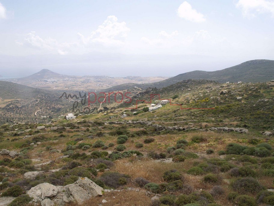 Γ345 ΠΑΛΙΟ ΑΜΠΕΛΙ ΣΤΗ ΘΕΣΗ ‘’ΣΤΑΥΡΟΣ ‘’ – ΛΕΥΚΩΝ | My Paros Home ...