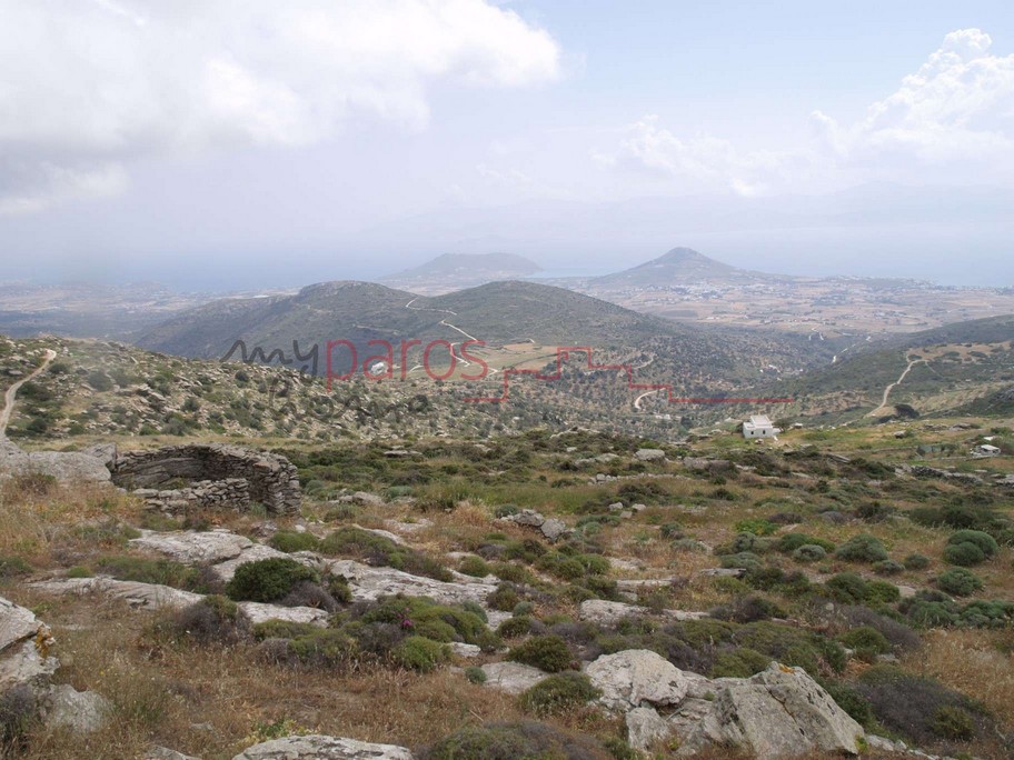 Γ346 ΠΑΛΙΟ ΑΜΠΕΛΙ ΣΤΗ ΘΕΣΗ ‘’ΣΤΑΥΡΟΣ ‘’ – ΛΕΥΚΩΝ | My Paros Home ...