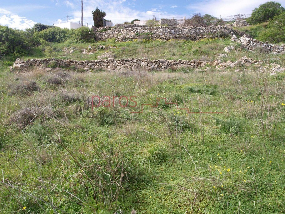 Β207 4 ΟΙΚΟΠΕΔΑ ΜΕΣΑ ΣΤΟΝ ΟΙΚΙΣΜΟ ΤΟΥ ΠΑΡΑΔΟΣΙΑΚΟΥ ΧΩΡΙΟΥ ‘’’ΛΕΥΚΕΣ ...