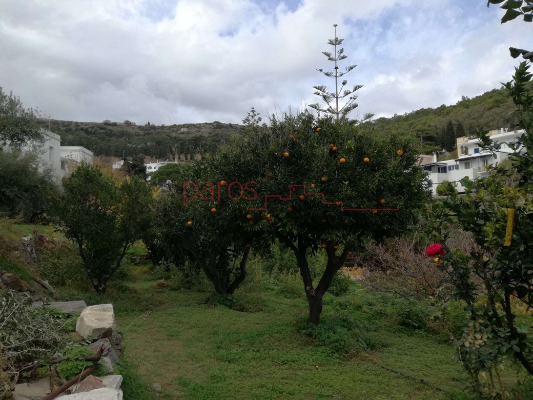 Β221 ΟΙΚΟΠΕΔΟ ΕΝΤΟΣ ΤΟΥ ΟΙΚΙΣΜΟΥ ΛΕΥΚΩΝ(ΠΩΛΗΘΗΚΕ) | My Paros Home ...