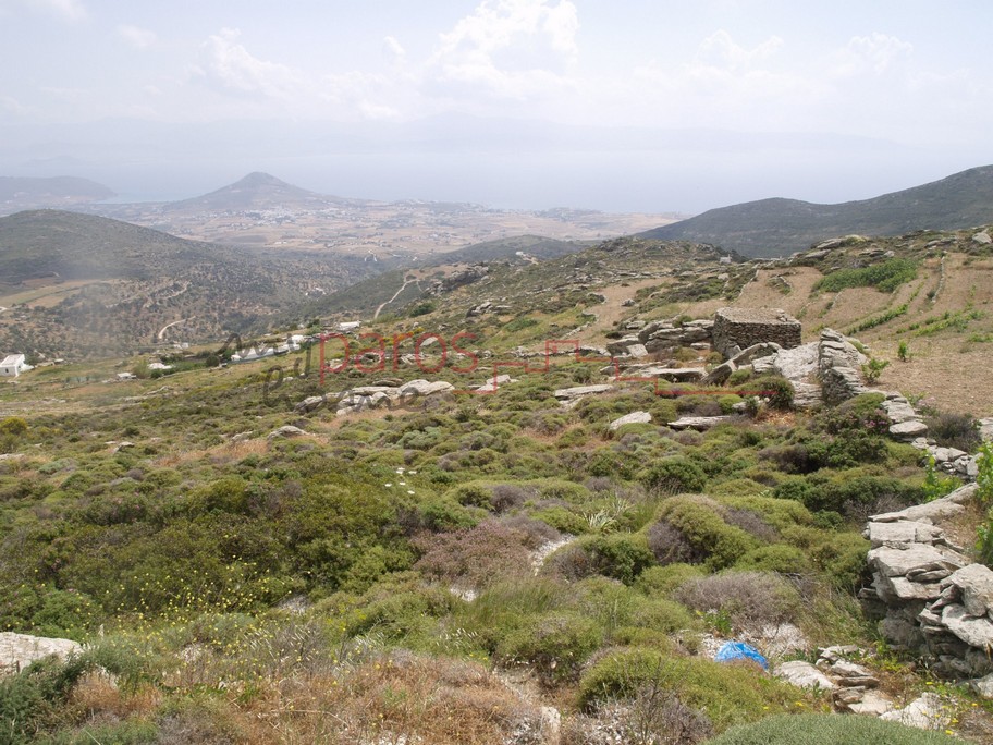 Γ346 ΠΑΛΙΟ ΑΜΠΕΛΙ ΣΤΗ ΘΕΣΗ ‘’ΣΤΑΥΡΟΣ ‘’ – ΛΕΥΚΩΝ | My Paros Home ...