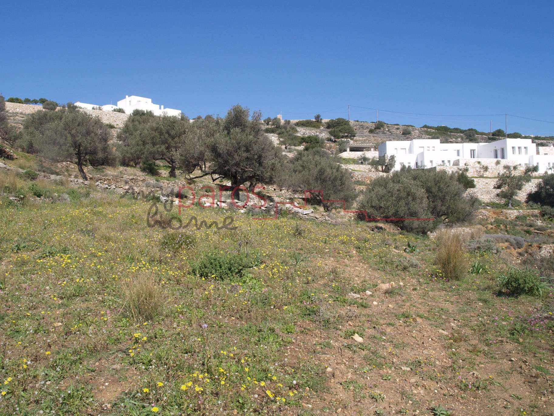 Γ358 ΑΓΡΟΤΕΜΑΧΙΟ ΣΤΟΝ ΚΩΣΤΟ ΤΗΣ ΠΑΡΟΥ | My Paros Home - Property in Paros