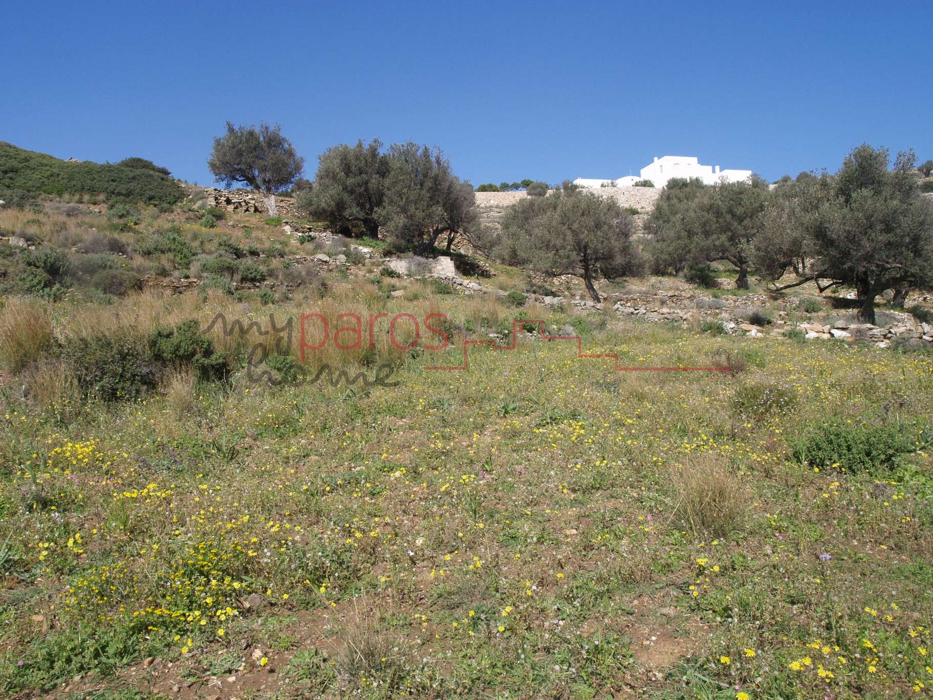 Γ358 ΑΓΡΟΤΕΜΑΧΙΟ ΣΤΟΝ ΚΩΣΤΟ ΤΗΣ ΠΑΡΟΥ | My Paros Home - Property in Paros