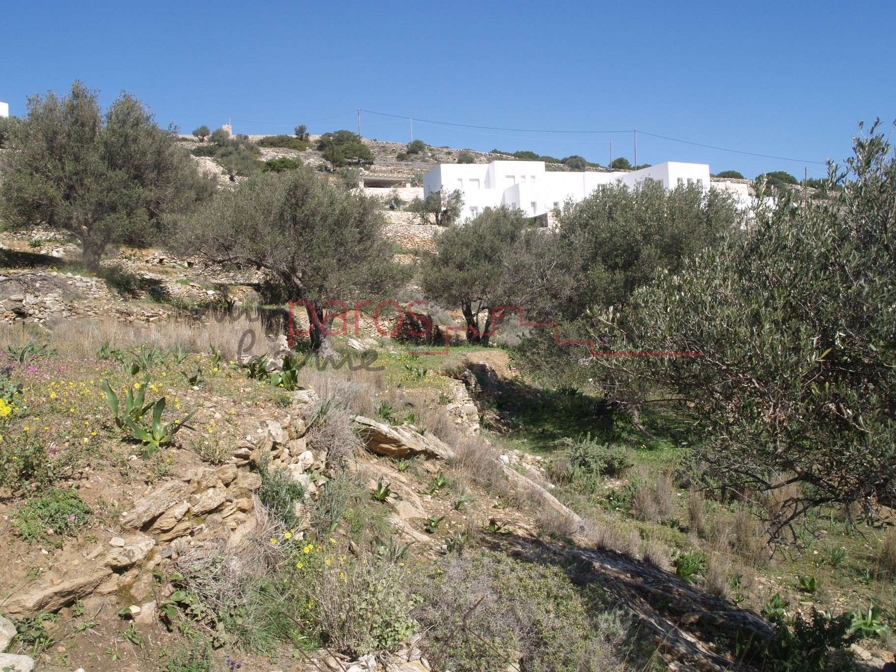 Γ358 ΑΓΡΟΤΕΜΑΧΙΟ ΣΤΟΝ ΚΩΣΤΟ ΤΗΣ ΠΑΡΟΥ | My Paros Home - Property in Paros