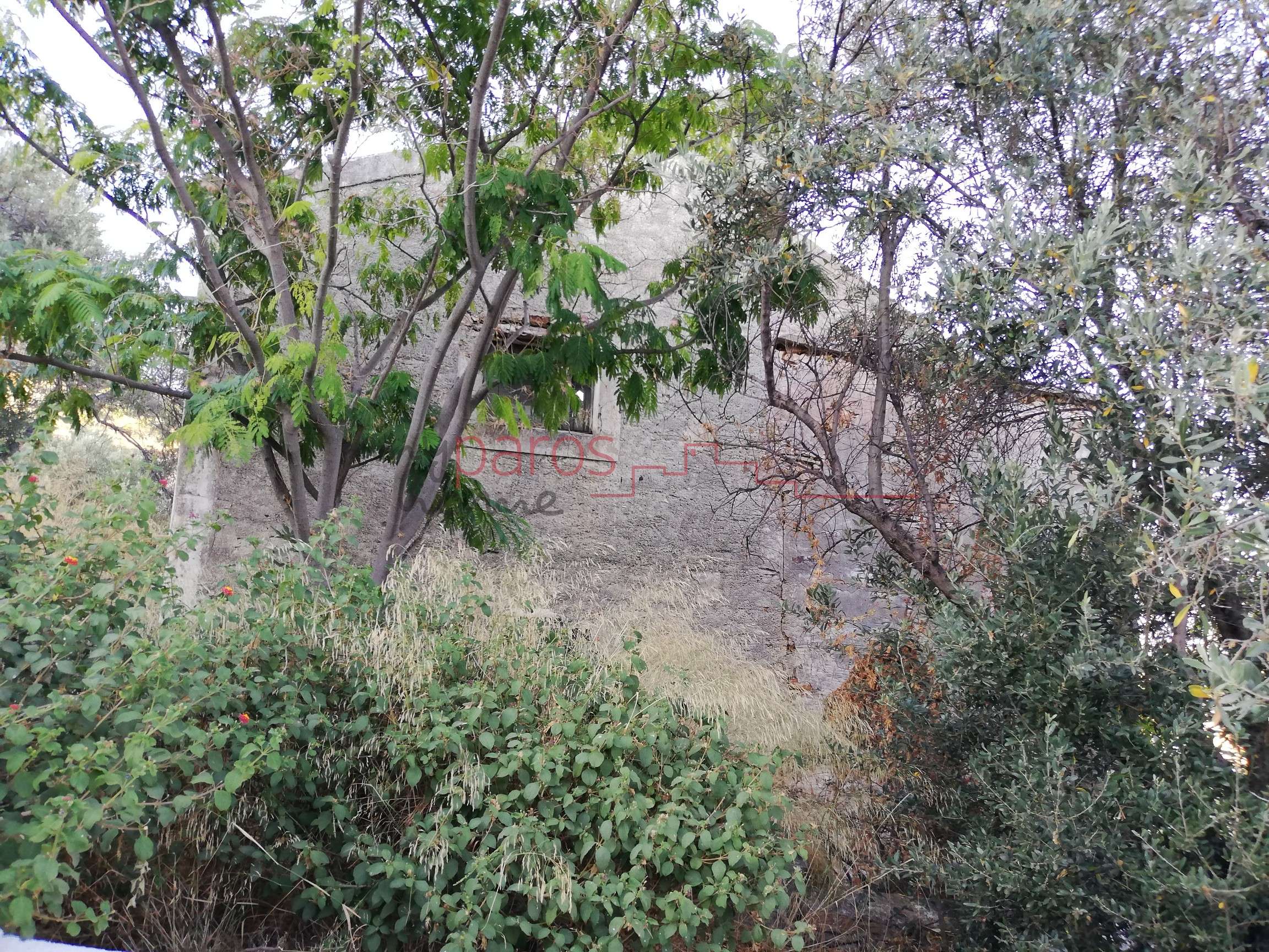 A 158 ΠΑΡΑΔΟΣΙΑΚΟ ΠΕΤΡΙΝΟ ΝΕΟΚΛΑΣΙΚΟ ΚΤΙΡΙΟ ΣΤΟΝ ΟΙΚΙΣΜΟ ΛΕΥΚΕΣ-ΠΑΡΟΥ ...